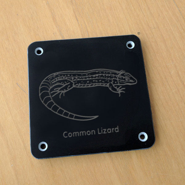 'Common lizard' rubbing plaque – Osprey Signs