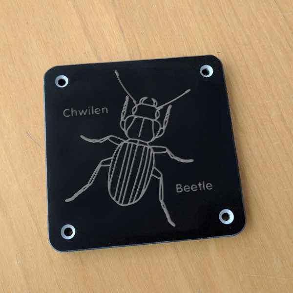 Welsh 'Beetle' rubbing plaque – Osprey Signs