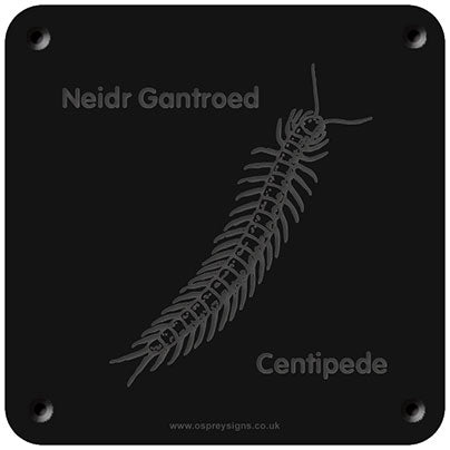 Welsh 'Centipede' rubbing plaque – Osprey Signs