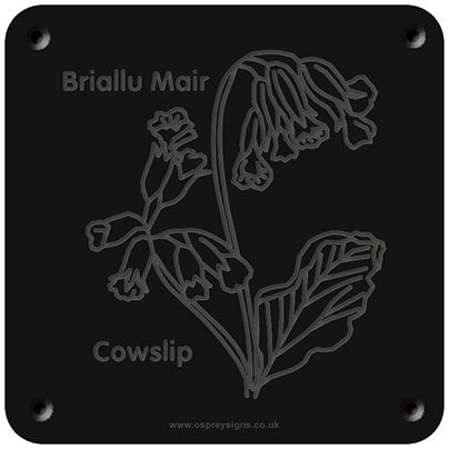Welsh 'Cowslip' rubbing plaque – Osprey Signs