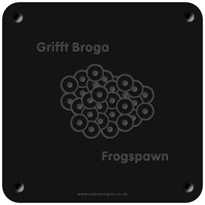 Welsh 'Frogspawn' rubbing plaque – Osprey Signs