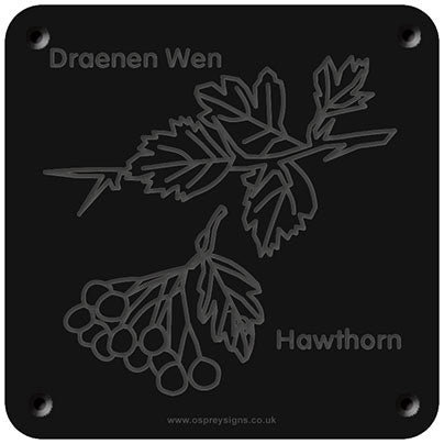 Welsh 'Hawthorn' rubbing plaque – Osprey Signs