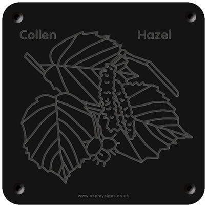 Welsh 'Hazel' rubbing plaque – Osprey Signs