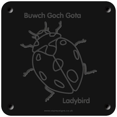 Welsh 'Ladybird' rubbing plaque – Osprey Signs