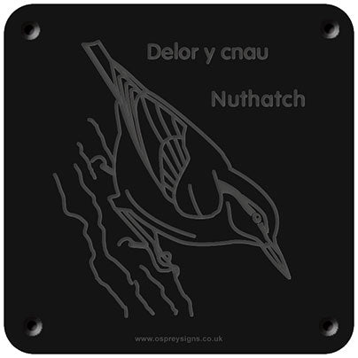 Welsh 'Nuthatch' rubbing plaque – Osprey Signs