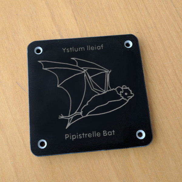 Welsh 'Pipistrelle bat' rubbing plaque – Osprey Signs