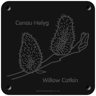 Welsh 'Willow catkin' rubbing plaque – Osprey Signs