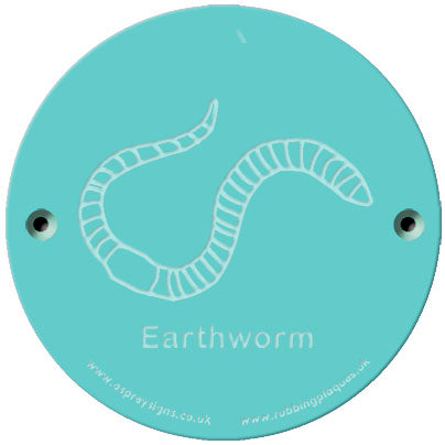 Rainbow Rubbing 'Earthworm' – Osprey Signs