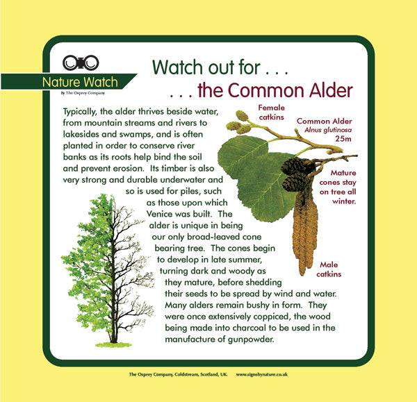 'Alder' Nature Watch Panel – Osprey Signs