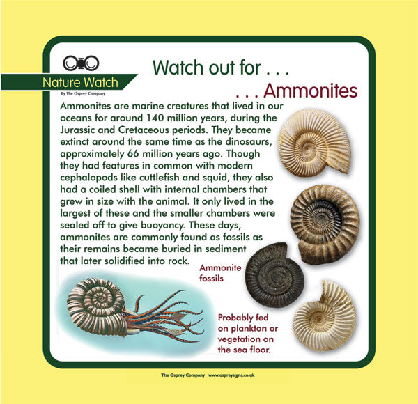 'Ammonites' Nature Watch Panel – Osprey Signs