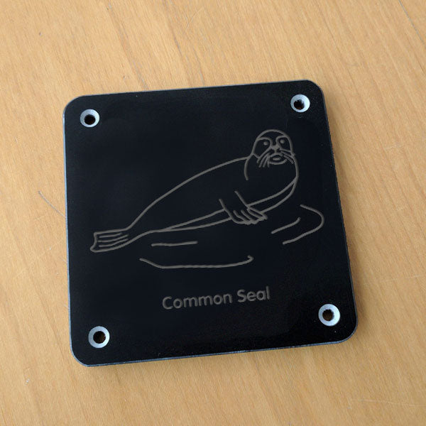 'Common seal' rubbing plaque – Osprey Signs