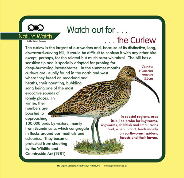 'Curlew' Nature Watch Panel – Osprey Signs