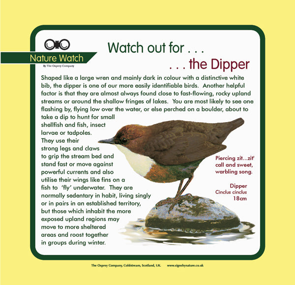 'Dipper' Nature Watch Panel – Osprey Signs