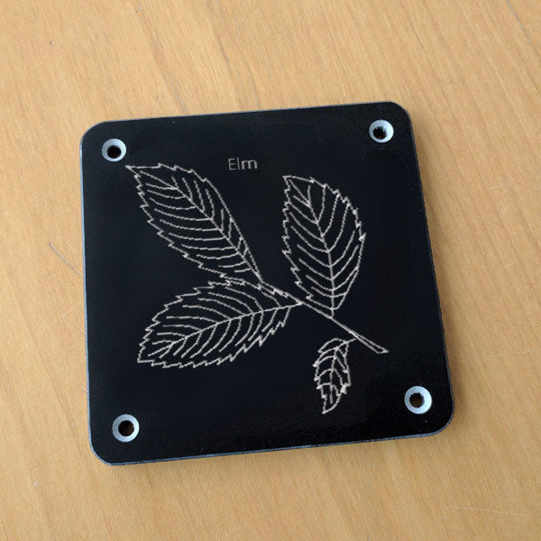 'Elm' rubbing plaque – Osprey Signs