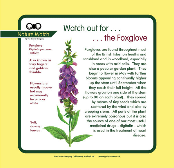'Foxglove' Nature Watch Panel – Osprey Signs