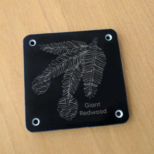 'Giant redwood' rubbing plaque – Osprey Signs