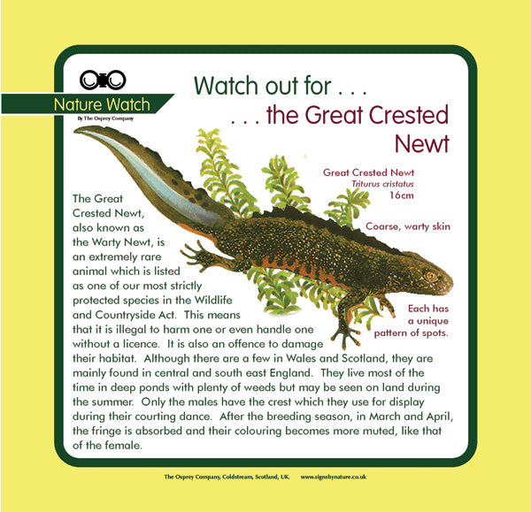 'Great crested newt' Nature Watch Panel – Osprey Signs