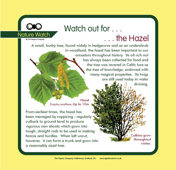 'Hazel' Nature Watch Panel – Osprey Signs
