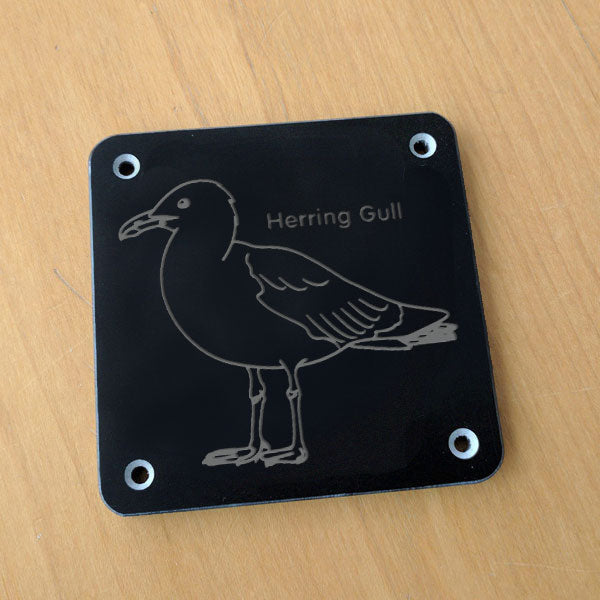 'Herring gull' rubbing plaque – Osprey Signs