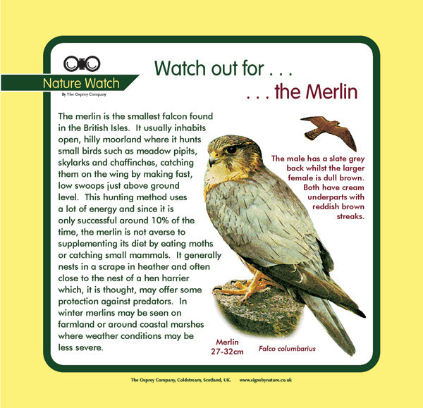 'Merlin' Nature Watch Panel – Osprey Signs