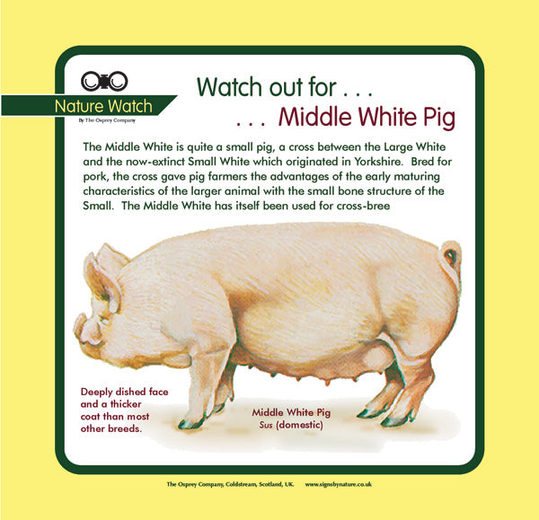 'Middle white pig' Nature Watch Panel – Osprey Signs