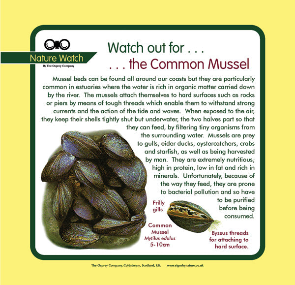 'Mussels' Nature Watch Panel – Osprey Signs