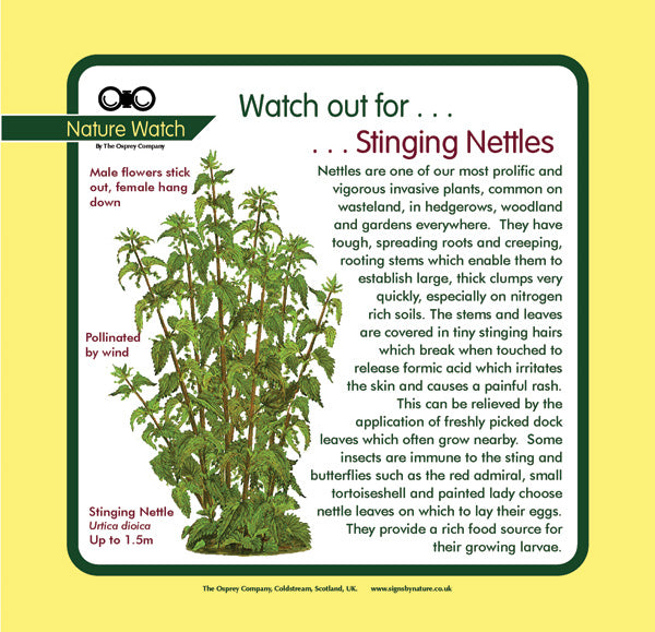 'Stinging nettle' Nature Watch Panel – Osprey Signs