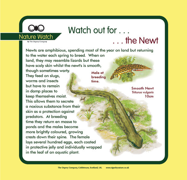 'Newt' Nature Watch Panel – Osprey Signs