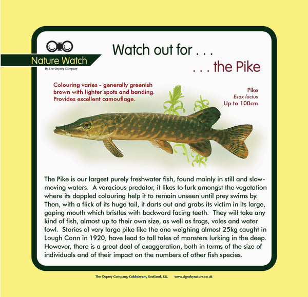 'Pike' Nature Watch Panel – Osprey Signs