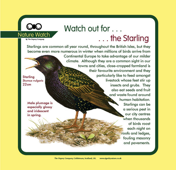 'Starling' Nature Watch Panel – Osprey Signs