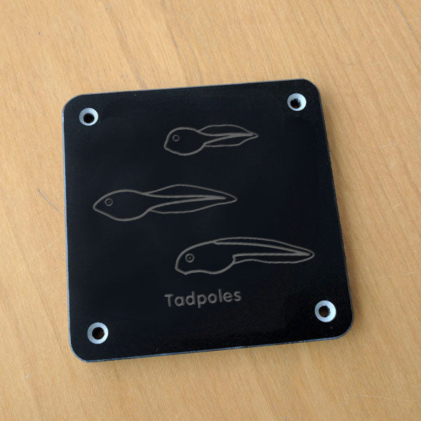 'Tadpoles' rubbing plaque – Osprey Signs