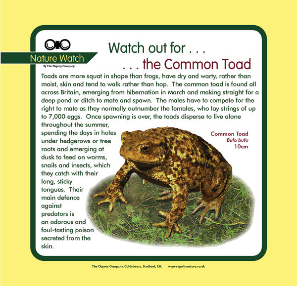 'Common toad' Nature Watch Panel – Osprey Signs
