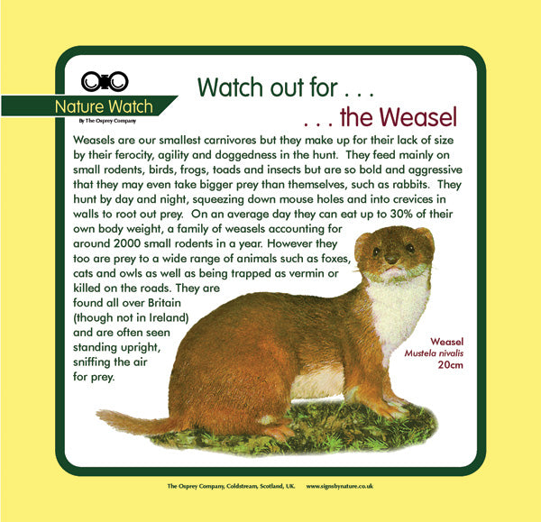'Weasel' Nature Watch Panel – Osprey Signs